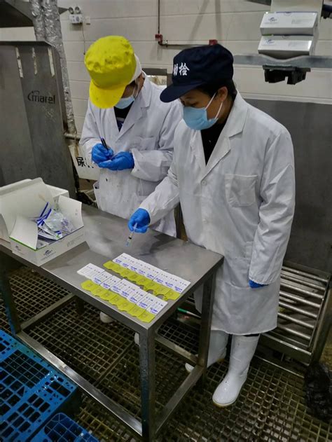 江苏东海筑牢养殖环节防疫屏障 同步检疫守护舌尖安全 消费日报网