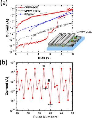 Color Online Electrical Characterization Of CPMV 2QD Hybrids With