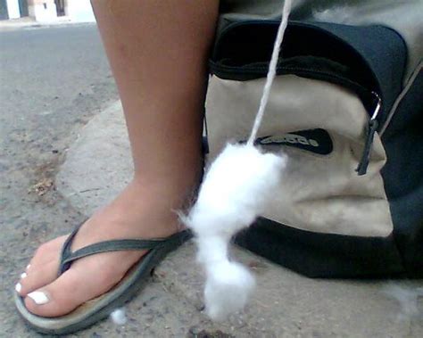 The Blemish Entertainment News Pictures