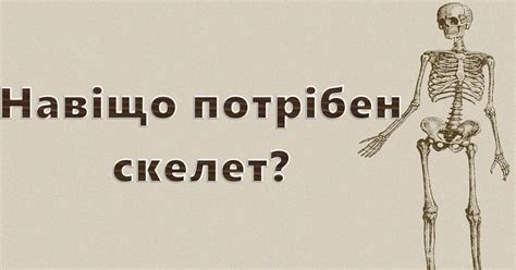 Презентація до уроку Я досліджую світ - Навіщо потрібен скелет? (3 клас ...
