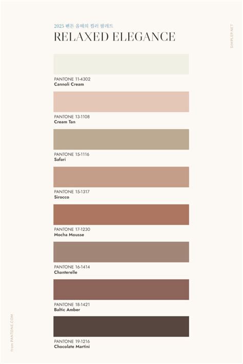2025 팬톤 올해의 컬러 모카 무스 Simple P