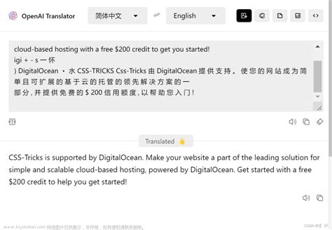 OpenAI Translator 基于ChatGPT API全局翻译润色解析及ORC上传图像翻译插件 Toy博客