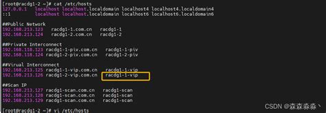 Oracle 11g Rac安装grid 执行root脚本add Vip N 。。。on Node Failedfailed 错误