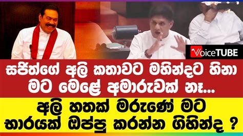 සජිත්ගේ අලි කතාවට මහින්දට හිනා මට මෙළේ අමාරුවක් නෑ අලි හතක් මරුණේ