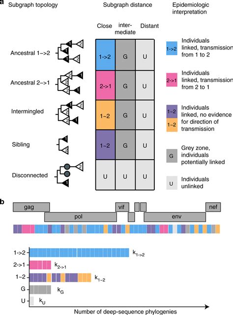 Epidemiological Interpretation Of Deep Sequence Phylogenetic Data A
