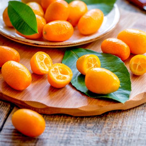 Kumquat Meiwa On Rootstock Nutcracker Nursery And Tree Farm