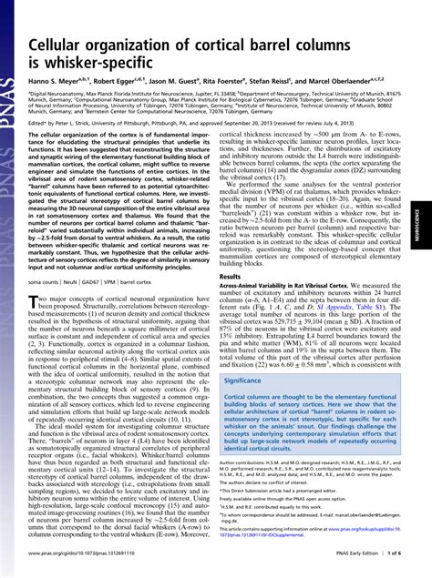 Pdf Cellular Organization Of Cortical Barrel Columns Is Whisker Specific