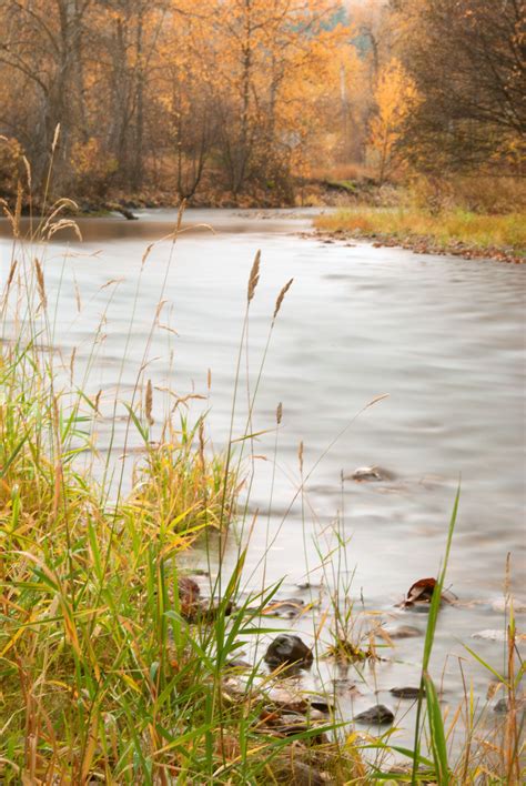 Elevation Of Lolo Mt Usa Maplogs