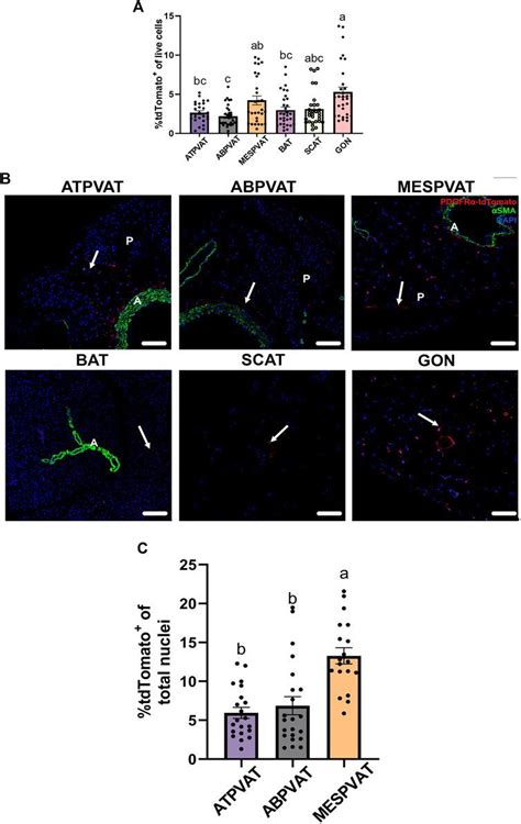 C Javier Rendon On Linkedin Frontiers Anatomical Location Sex And