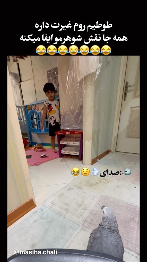 ‎masiha Hasirchi مسیحا حصیرچی‎ ‎داستان ازین قراره چالی یا همون چال چال طوطی ۱۳ ساله ی ما پسر
