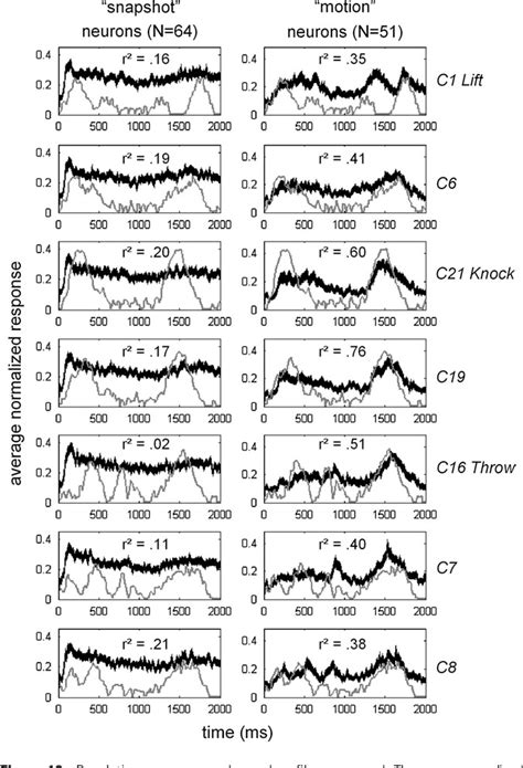 Figure 12 From Functional Differentiation Of Macaque Visual Temporal