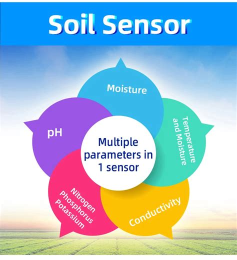 Soil NPK Sensor: Definition, Working Principles, And Applications
