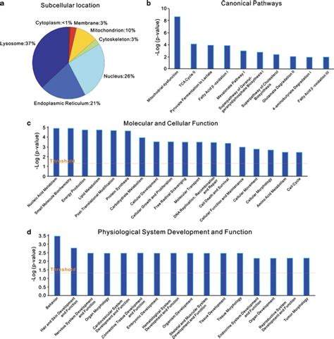 A Stress Induced Cellular Aging Model With Postnatal Neural Stem Cells Pmc