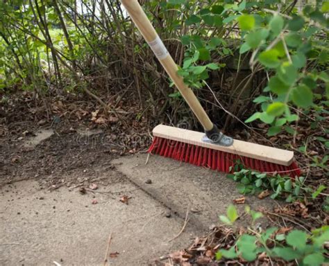 Spring Fall Cleanups In Waterville Me Cm Lawn Care Landscape