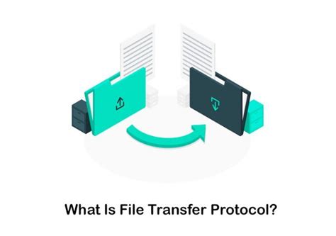 What Is A Python Host Why Do People Choose Python N6host