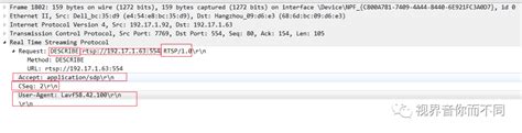 手撕rtsp协议系列（5）——describertsp Describe Csdn博客
