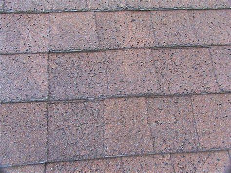 Blistered Shingles Found By Omaha Home Inspector