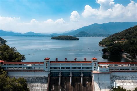 为什么是闽江河口湿地 河湖鉴赏 美丽福州 幸福河湖 福州新闻网