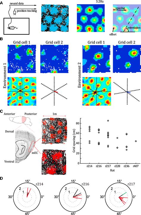 Figure From Using Grid Cells For Navigation Semantic Scholar