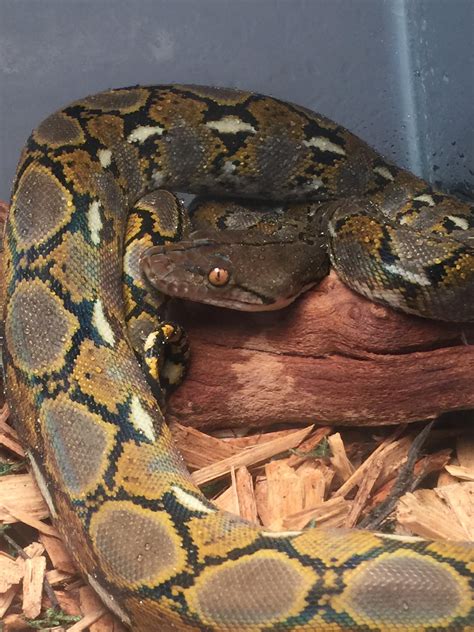 48 Hilarious Type Locality Geology Puns Punstoppable 🛑