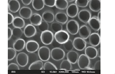 The Surface Of The Photocatalyst TiO NT At A Magnification Of Download Scientific