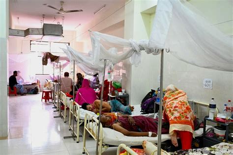 バングラデシュでデング熱流行 今年の死者1000人超、過去最悪規模 写真5枚 国際ニュース：afpbb News