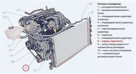 Система охлаждения ford focus 2 (форд фокус 2)