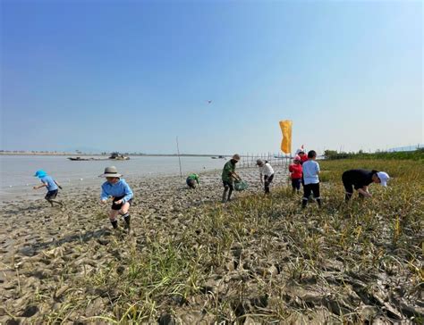네이버 해피빈 맹그로브 생태복원 아픈 지구의 해열제 맹그로브 나무 심기 사에코피스아시아│ecopeaceasia