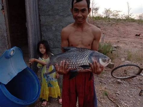 រួមគ្នាអភិរក្ស ក្រុមអ្នកនេសាទងាកមកដោះលែងត្រីដែលខ្លួននេសាទបានទៅក្នុងទឹកទន្លេមេគង្គវិញ