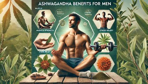 Top Ashwagandha Benefits For Men Testosterone Muscle And Mental Health