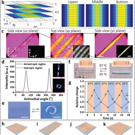 A Fabrication Of In‐plane Gradient Hydrogel By Using Electrodes Plated Download Scientific