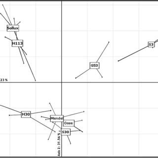 PLSR Analysis Loading Plot Showing Relationships Between The