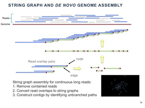 Recent Progress In Long Read Genome Assembly Theory Practice And Future Challenges Speaker Deck