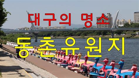 대구 동촌유원지 Youtube