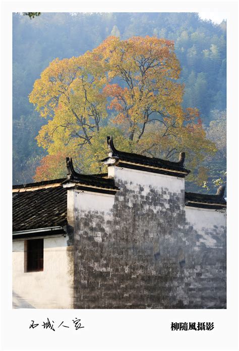 枫叶红了我在树下等你摄影图片风光摄影 太平洋电脑网摄影部落