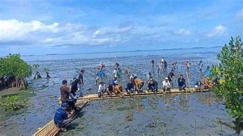 Im3 Tanam Mangrove Dan Dorong Digitalisasi Desa Bulu Cindea Pangkep