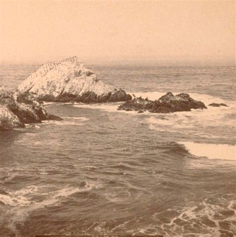 Stereographs Continued Foundsf