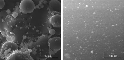 sem of coatings based on zn tcp powder download scientific diagram