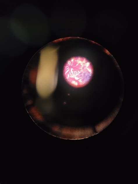 What Do Yall Think This Is Never Seen This Under The Mircroscope R