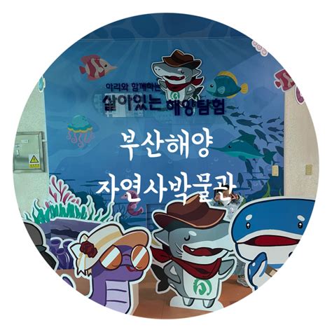 부산 실내 아이와 갈만한 곳 부산해양자연사박물관부산 아쿠아리움 네이버 블로그