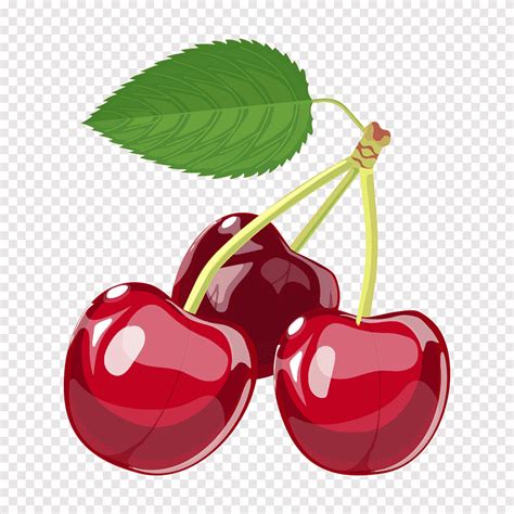 Cherry Animated Images At Savannah Battles Blog