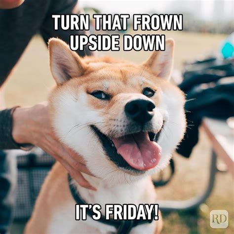 Friday Meme Friday Meme Rapidinnovation Jira Rapid Innovation