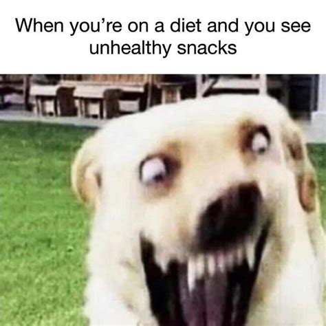 118 Weight Loss And Diet Memes That Will Burn Calories With Laughter