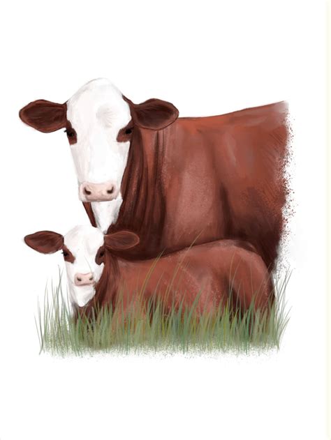 Vaca Con Su Cria Braford In 2024