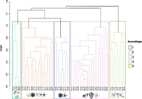 Chart Snapshot Dendrograms Dataviz Catalogue Blog