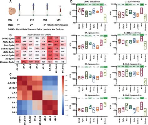 Antigenicity Analysis Of Omicron Sublineages And Variants Under
