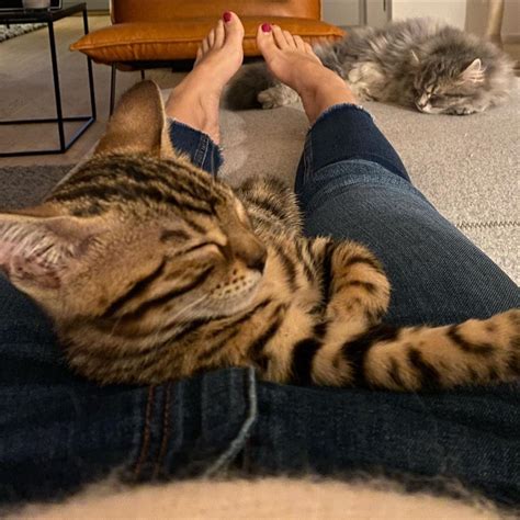 Judith Rakers S Feet