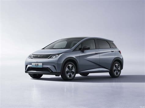 Electric Car Byd Dolphin 401 Km Knight Edition SUV New Energy Vehicle China Byd And Electric Car