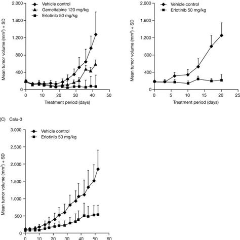 PDF Erlotinib Antitumor Activity In Non Small Cell Lung Cancer Models