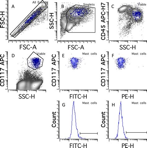 expression of cd2 and cd25 on mast cell populations can be seen outside